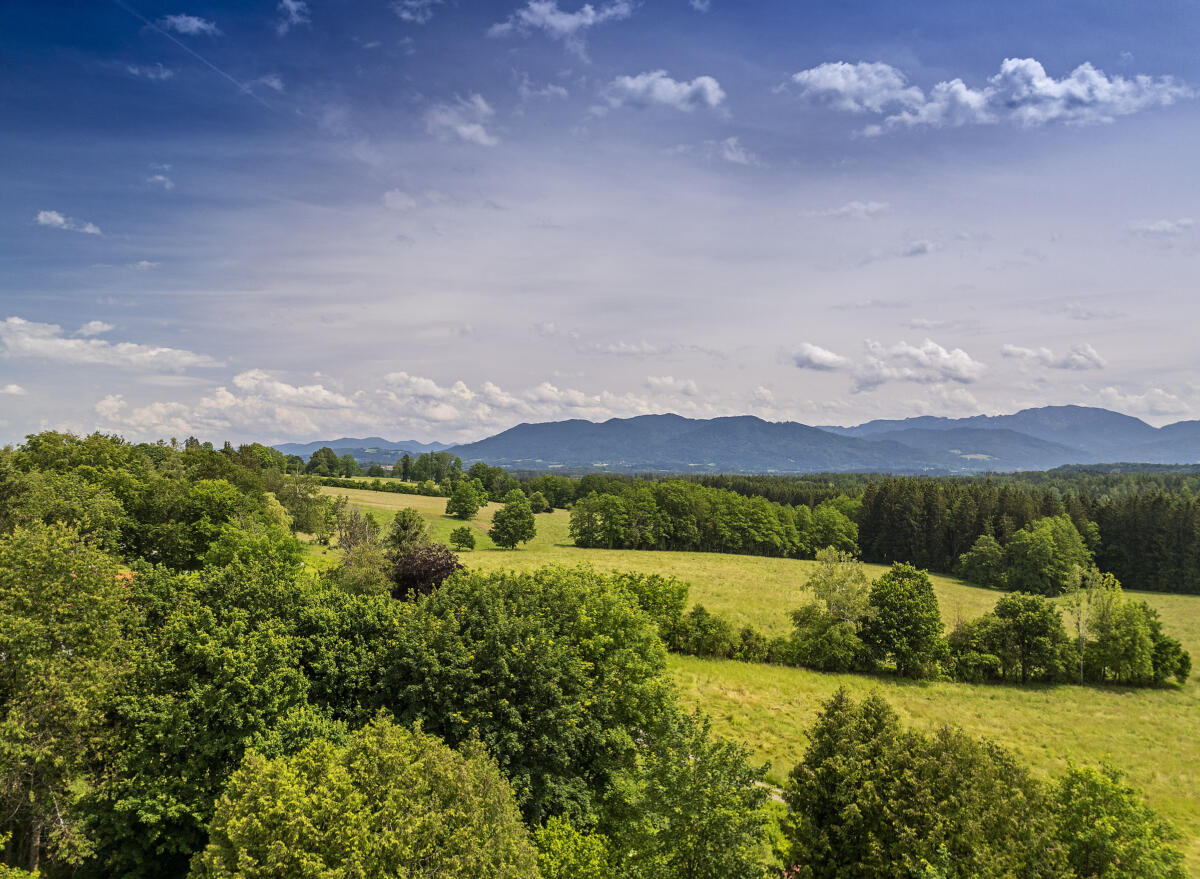 Über das ZIST Institut Penzberg und Gründer Wolf Büntig