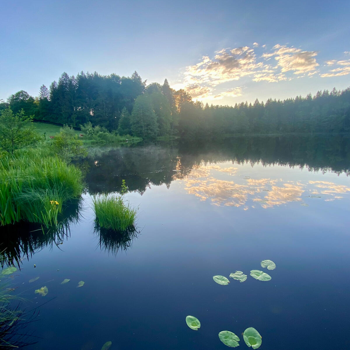 Somatic Experiencing – 1. Jahr: Traumatherapie SE Weiterbildung in ZIST
