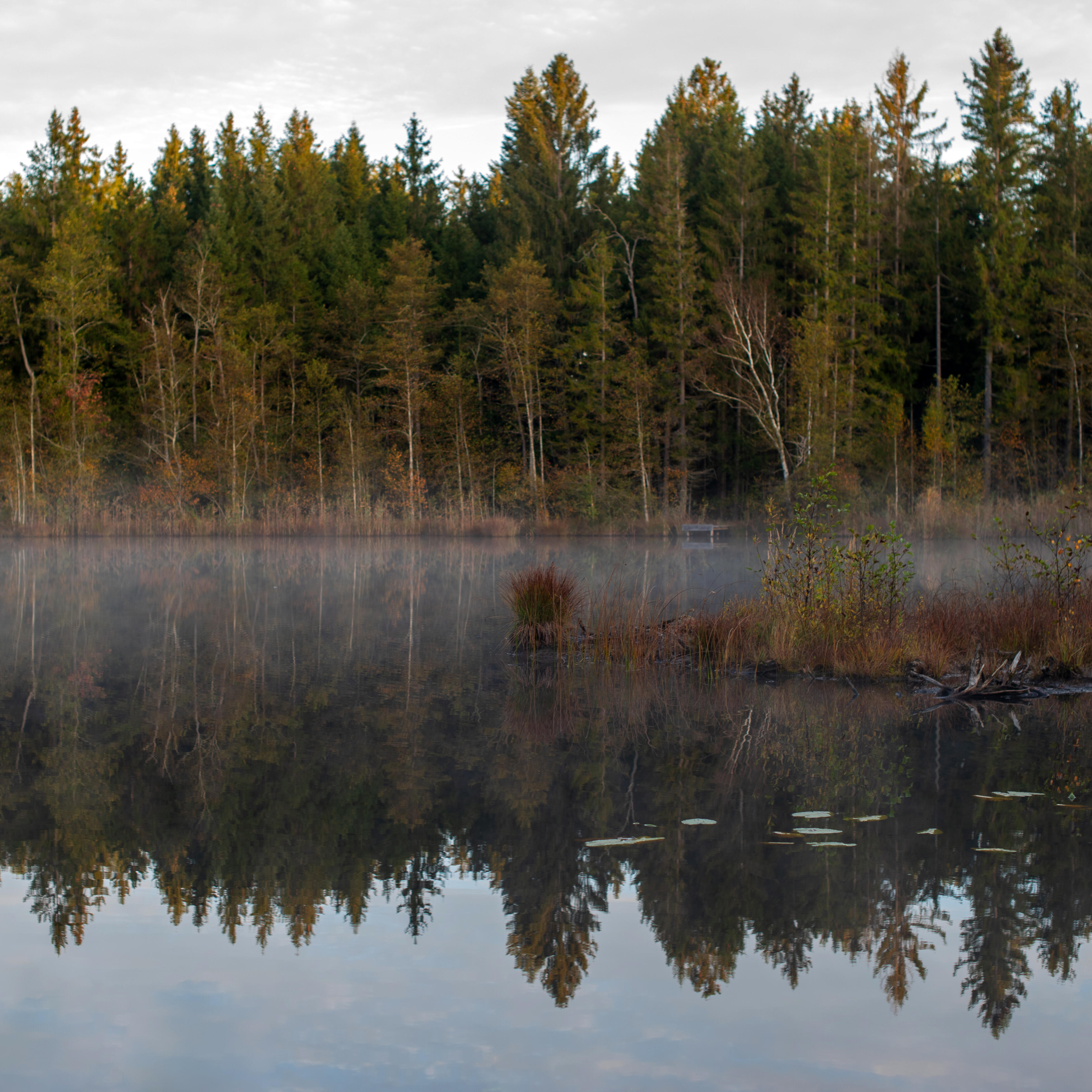 NIG Master: Im Bilde sein – Kreative Aufstellungsarbeit mit dem Neuro ...